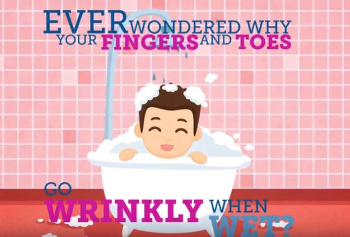 Wrinkled Skin From Water
